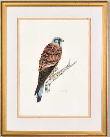 VIGGO ALFRED CARLSEN. Color lithography. Art - Engravings & Prints ...