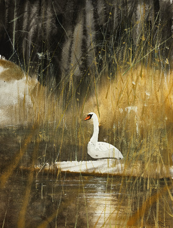 PETER EUGÉN (Sweden, born 1978), The Swan, signed and dated 2024 ...