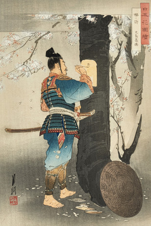 OGATA GEKKO (1859-1920), Kojima Takanora writing a poem on a cherry ...