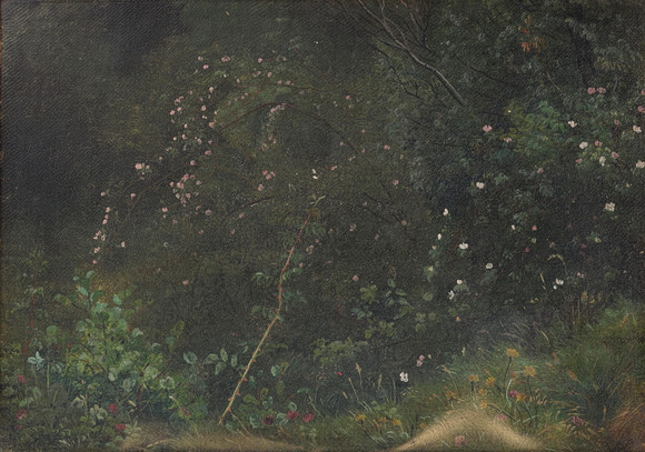 VILHELM PETER C. KYHN (1819-1903). Motiv med vilda buskar och blommor ...