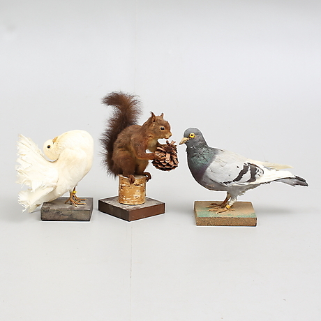 UPPSTOPPADE DJUR, 3 st. Övrigt - Övrigt - Auctionet