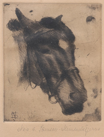 NORA VON SAMSON-HIMMELSTJERNA (1891-1982). Horse face, etching, signed ...
