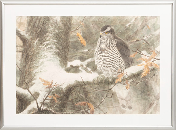 LARS JONSSON. Lithograph in colours, Duvhök, numbered and signed, 34/ ...