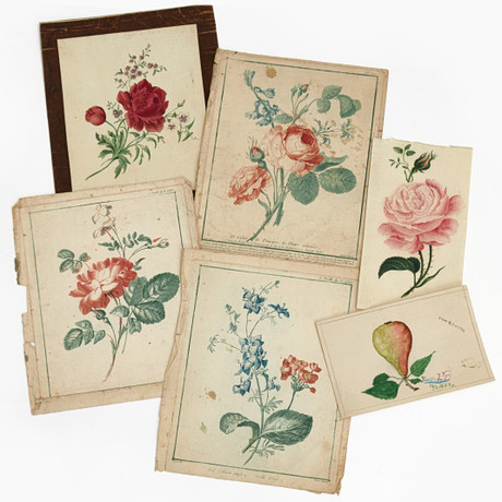 TECKNINGAR, GRAVYRER, 8+6 st, 1800-tal, Motiv med blommor och växter ...