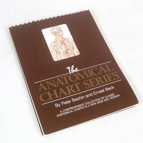 BOOK, “The Anatomical Chart Series by Peter Bachin & Ernest Beck. 1980s ...