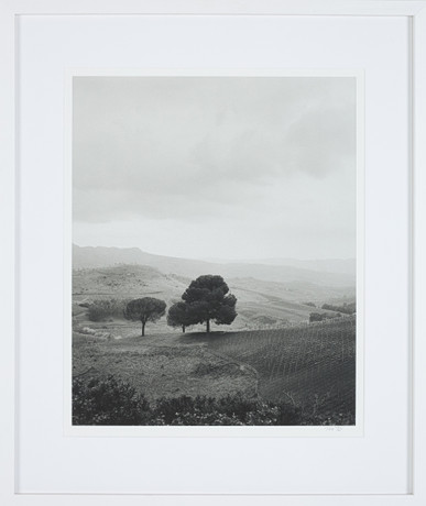 TOBIAS REGELL. “Sicily”, pigment print, signed and numbered 1/20, TR ...
