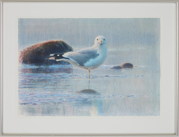 LARS JONSSON. motiv av fiskmås, färglitografi, signerad och numrerad 124/360. Konst - Grafik ...