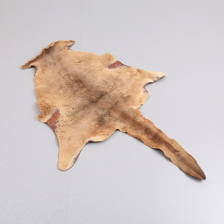 A kangaroo skin, Australia. Miscellaneous - Miscellaneous - Auctionet