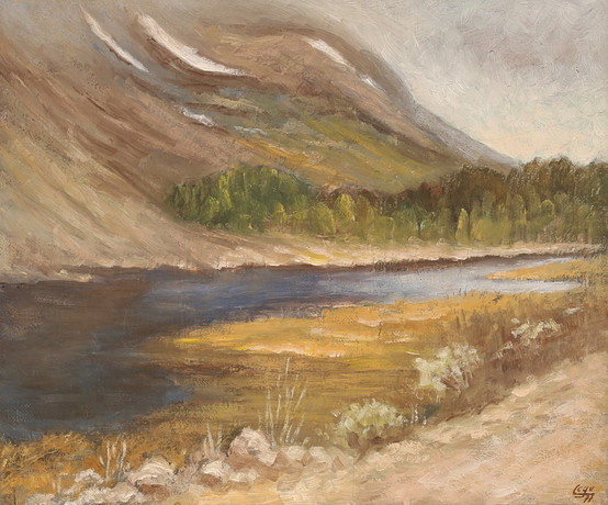 GUNNAR CEGE CARLSSON. Oil on canvas, signed. Art - Paintings - Auctionet