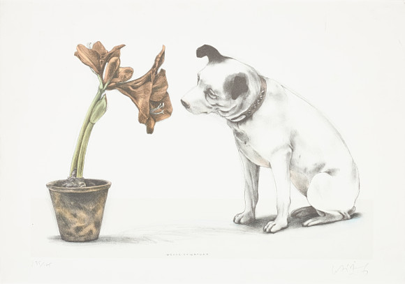 LASSE ÅBERG. Voice of Nature”, lithograph in colour, signed and ...