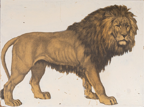 SCHOOL PLAN, Lion. Art - Engravings & Prints - Auctionet