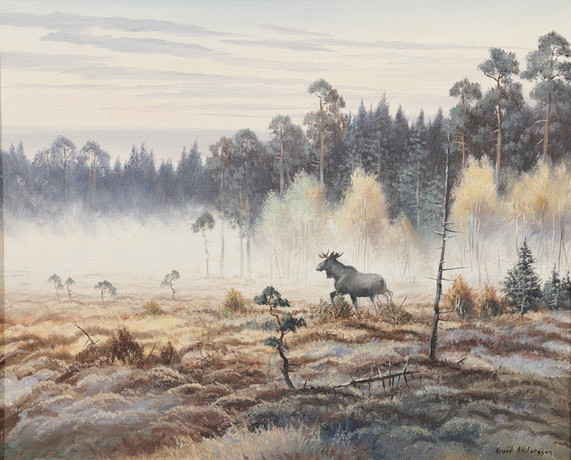 ARVID ANDERSSON. Älg på mosse, olja på duk, signerad. Konst - Måleri - Auctionet
