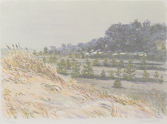 HANS LINDROTH. Color lithograph, signed and numbered 204/225. Art ...