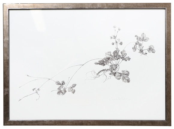 SARAH SIMBLET (BRITISH, 20TH CENTURY) "WILD STRAWBERRY". Art ...