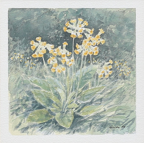 GUNNAR GEBBE BJÖRKMAN. Goldilocks. Watercolour, signed and dated 85 ...