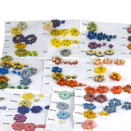 MAY FLOWERS, garlands and single flowers, 1950s to 2024. Miscellaneous ...