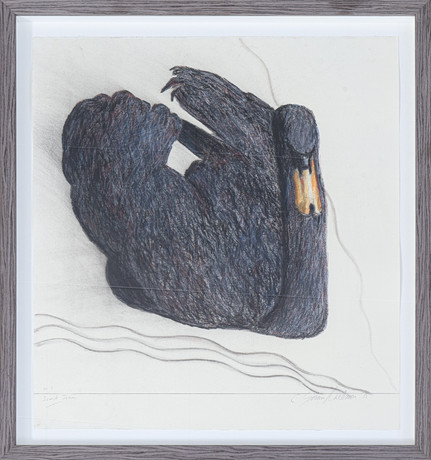 CLAES-GÖRAN KARLSSON. Pastel, no. 1, “Svart svan”, signed C. Göran ...