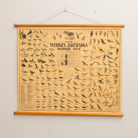 Plansch, first half of the 20th century. “Protected Animals by the ...