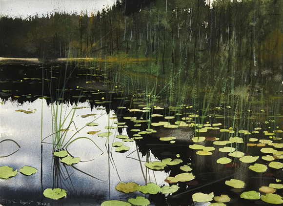 PETER EUGÉN (born 1978). Water lilies bloom in the tar, signed and ...