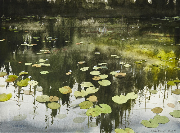 PETER EUGÉN (born 1978). Water lilies against green water mirror ...