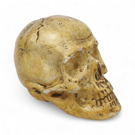 A SKULL, plaster with painting, and patination, circa second quarter of ...