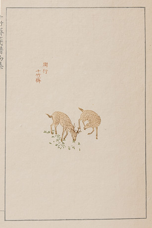 Hu Zhengyan (c. 1584‑1674). After. ’Shi Shu Zhai Jian Pu’ (Shizhuzhai ...