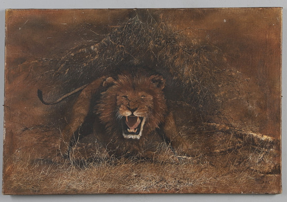 AN UNFRAMED OIL ON CANVAS OF A LION, SIGNED M MILLS. Art - Paintings ...