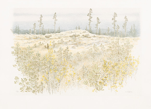 LENNART FRISK. Kalhygge, lithograph in colours, 203/300, signed. Art ...