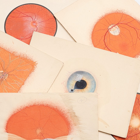 AKVARELLER, 6 ST, SKADOR PÅ NÄTHINNOR OCH IRIS, FÖR THEODORE HAMBLIN ...