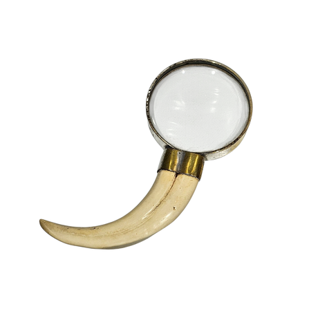 Silver metal magnifying glass with wild boar horn handle. Collectables ...