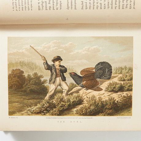 LLOYD, THE GAME BIRDS AND WILD FOWL OF SWEDEN AND NORWAY ...