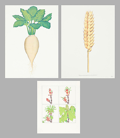 ANDERS ÖSTERLIN. A Collection of graphics, 3 pieces, different motifs ...