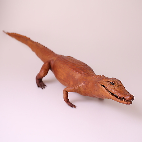 STUFFED CROCODILE - GLASS-EYED CAIMAN, South America, late 1900s ...