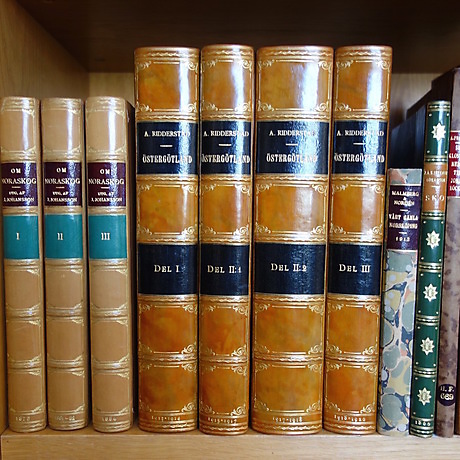 TOPOGRAPHY. A Collection of beautifully bound Swedish topography. Books ...