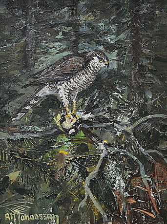 ALF JOHANSSON. "Sparrowhawk", oil on canvas, signed. Art - Paintings ...
