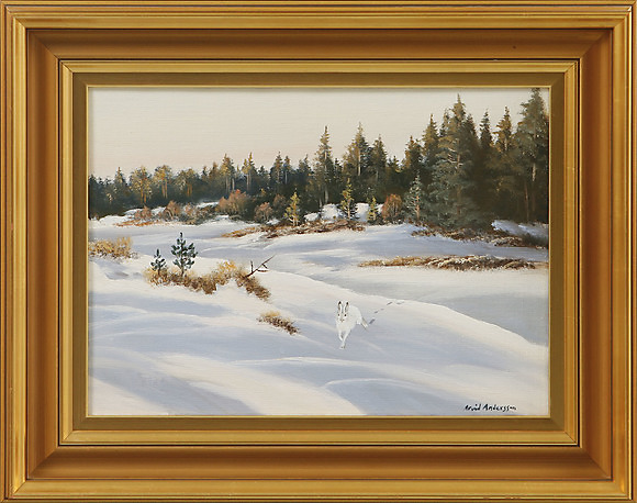 ARVID ANDERSSON. Hare i vinterlandskap, olja på duk, signerad. Konst - Måleri - Auctionet