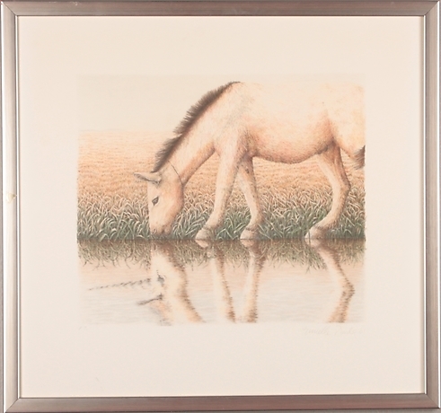 GUNILLA BADE. lithography, grazing horse, signed and dated 81, marked ...