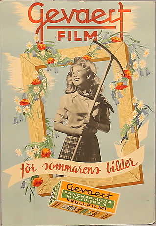 REKLAMAFFISCH på masonit, "Gevaert Film", 1940-tal. Konst - Fotografi ...