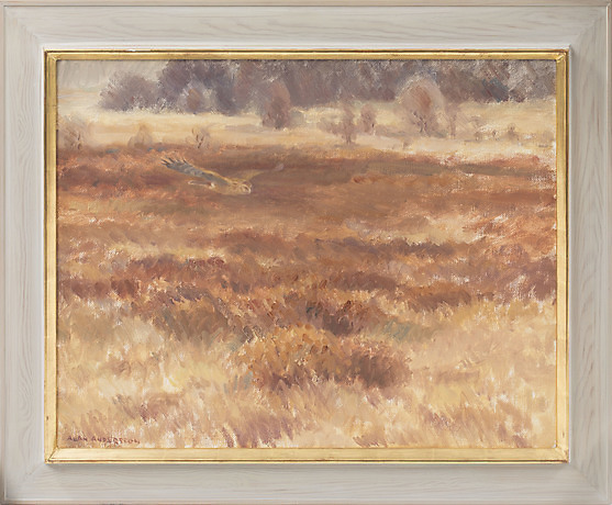 ALLAN ANDERSSON. "Blue harrier female over autumn food", oil on canvas ...