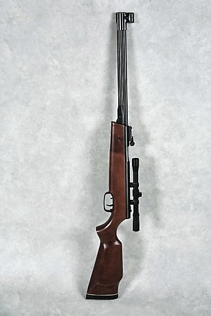 AIR RIFLE WITH BINOCULAR SIGHT. Weapons & Militaria - Guns & Rifles ...
