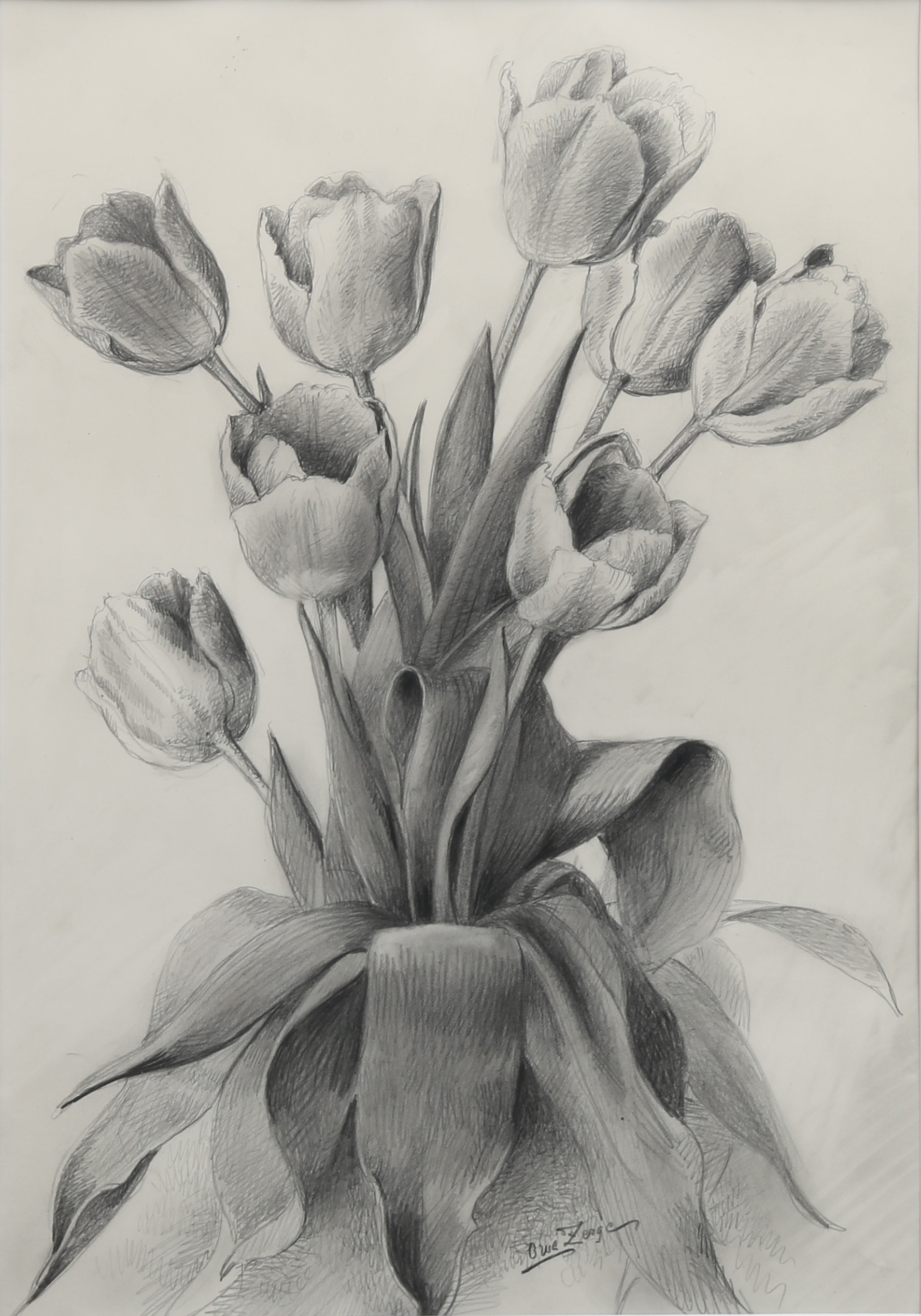 Images for 1026558. OWE ZERGE, tulip still life, signed pencil drawing ...