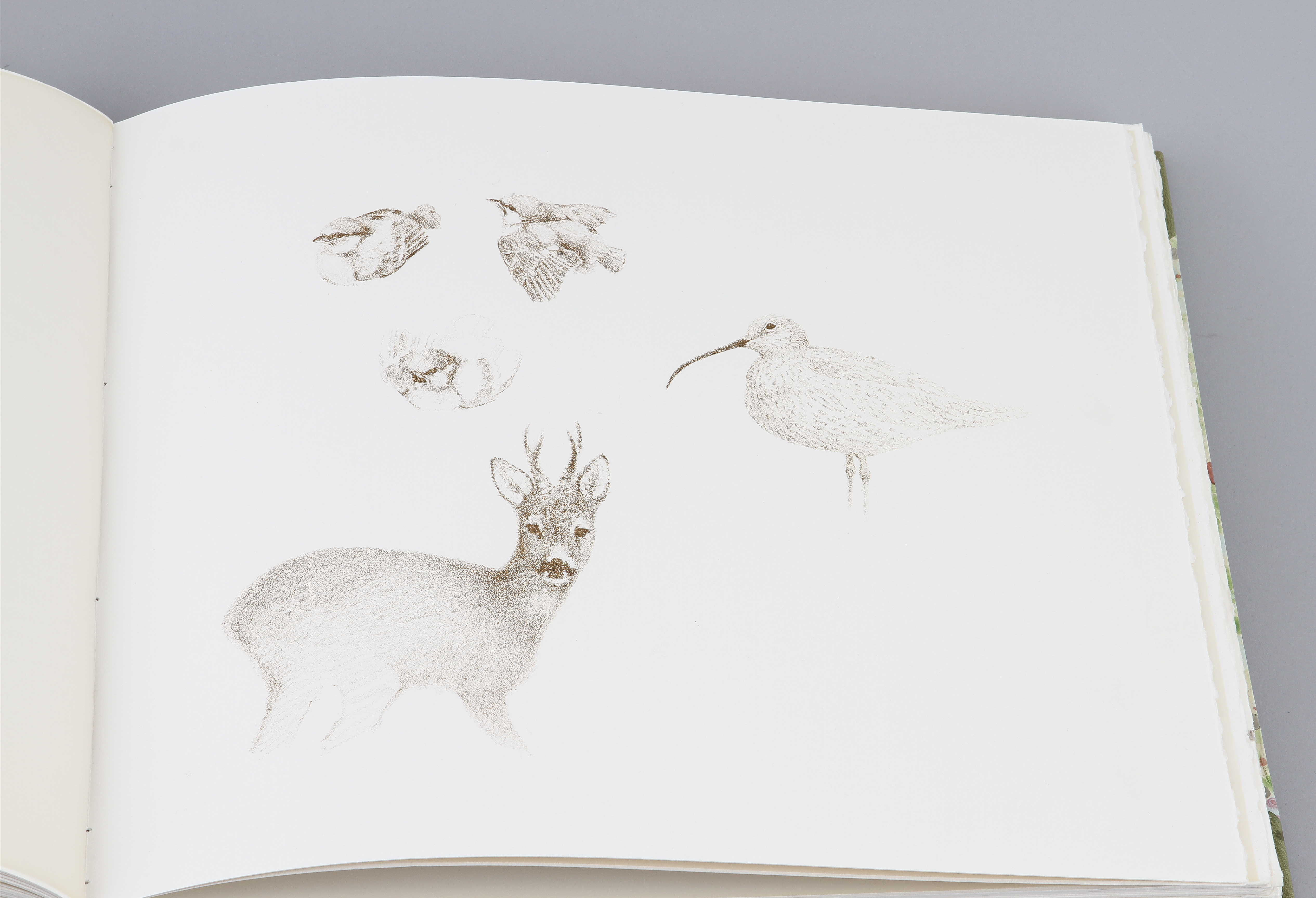 Bilder för 114867. LENNART SAND. Skisser, efter naturen och på sten ...