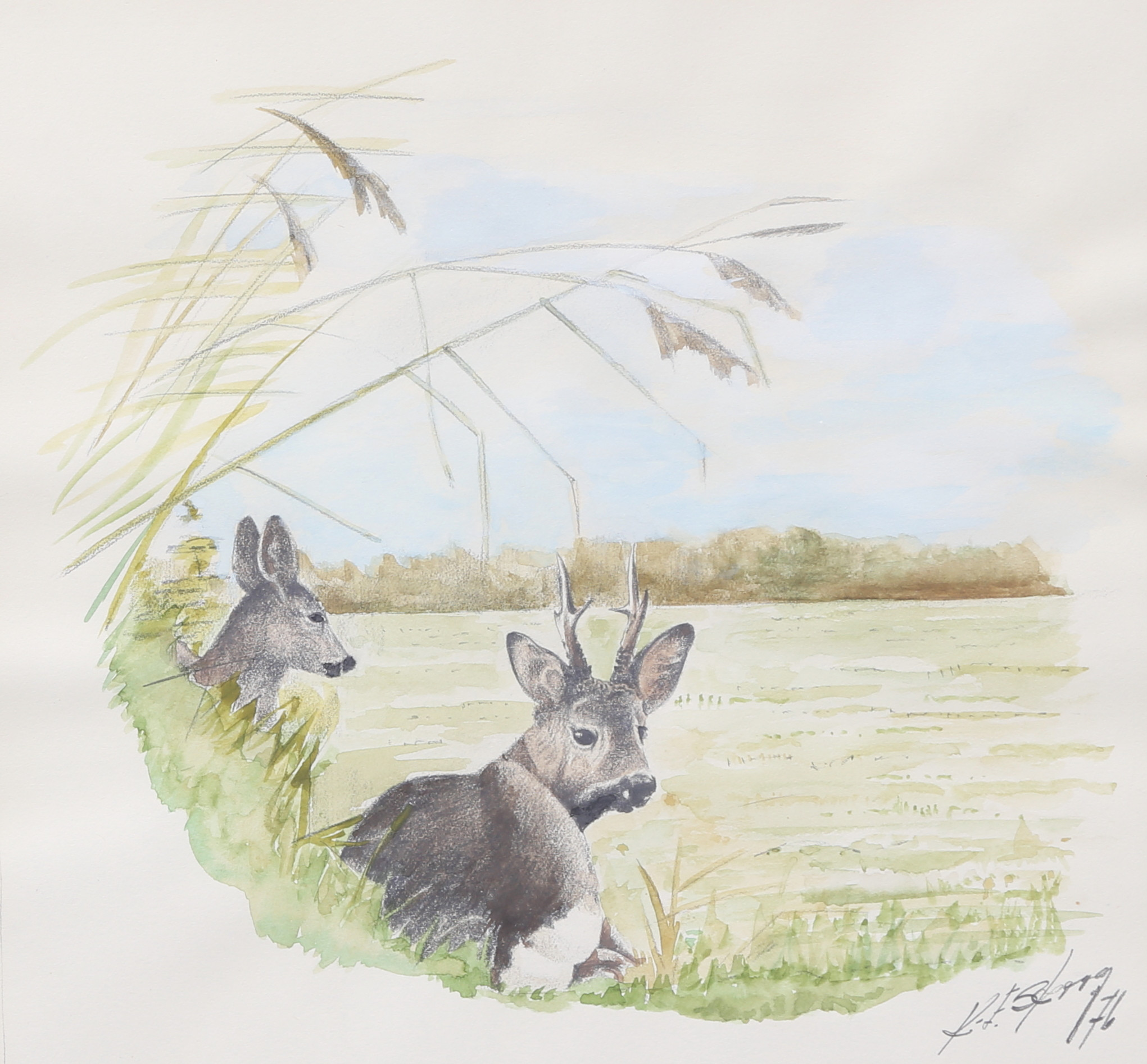 Bilder zu 1466083. KARL-ERIK SKOG. Hirsch, Luchs, Aquarell und ...