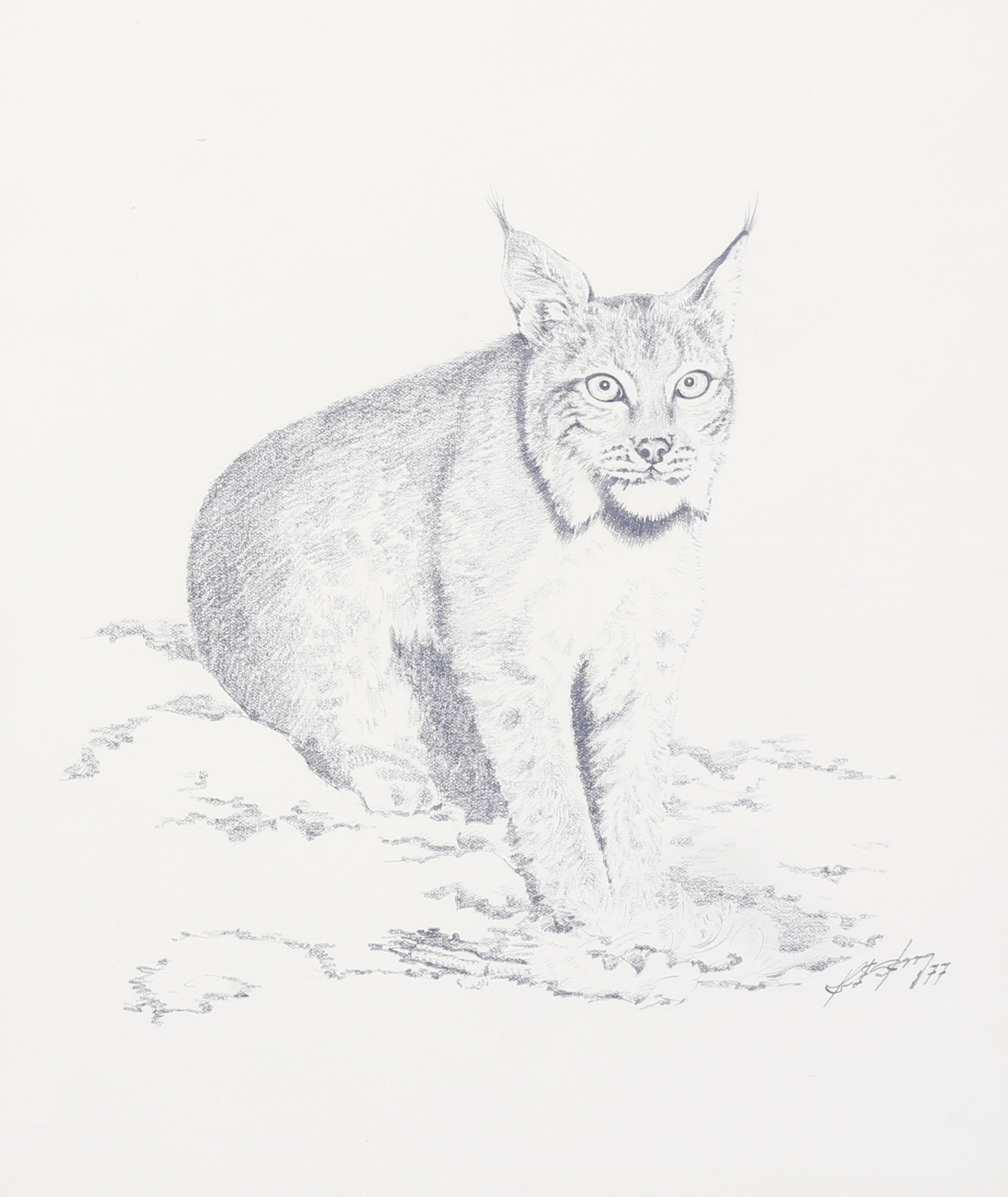 Bilder zu 1466083. KARL-ERIK SKOG. Hirsch, Luchs, Aquarell und ...