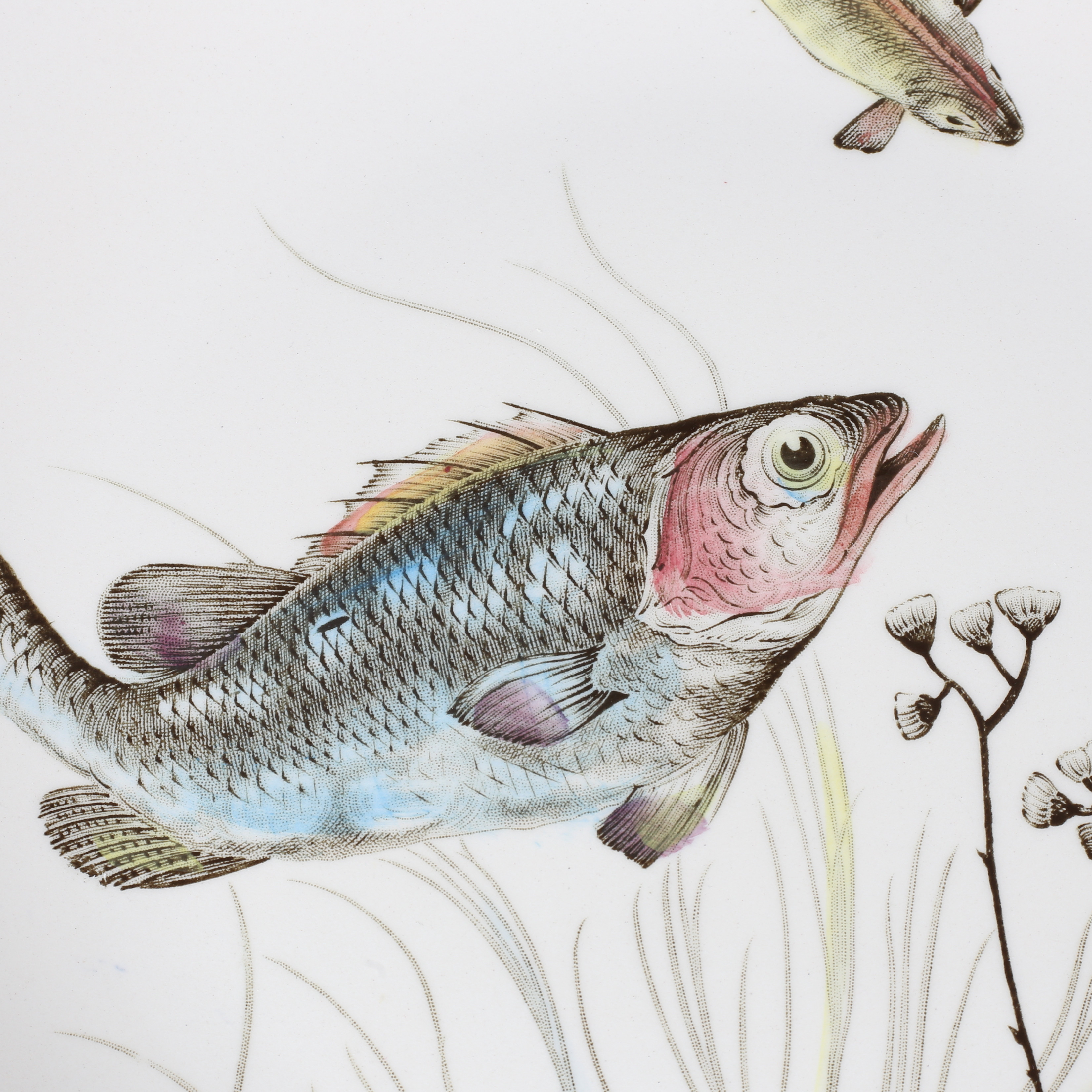 Images for 1528780. PLATES, and platters, 7 pieces, porcelain, Fish ...