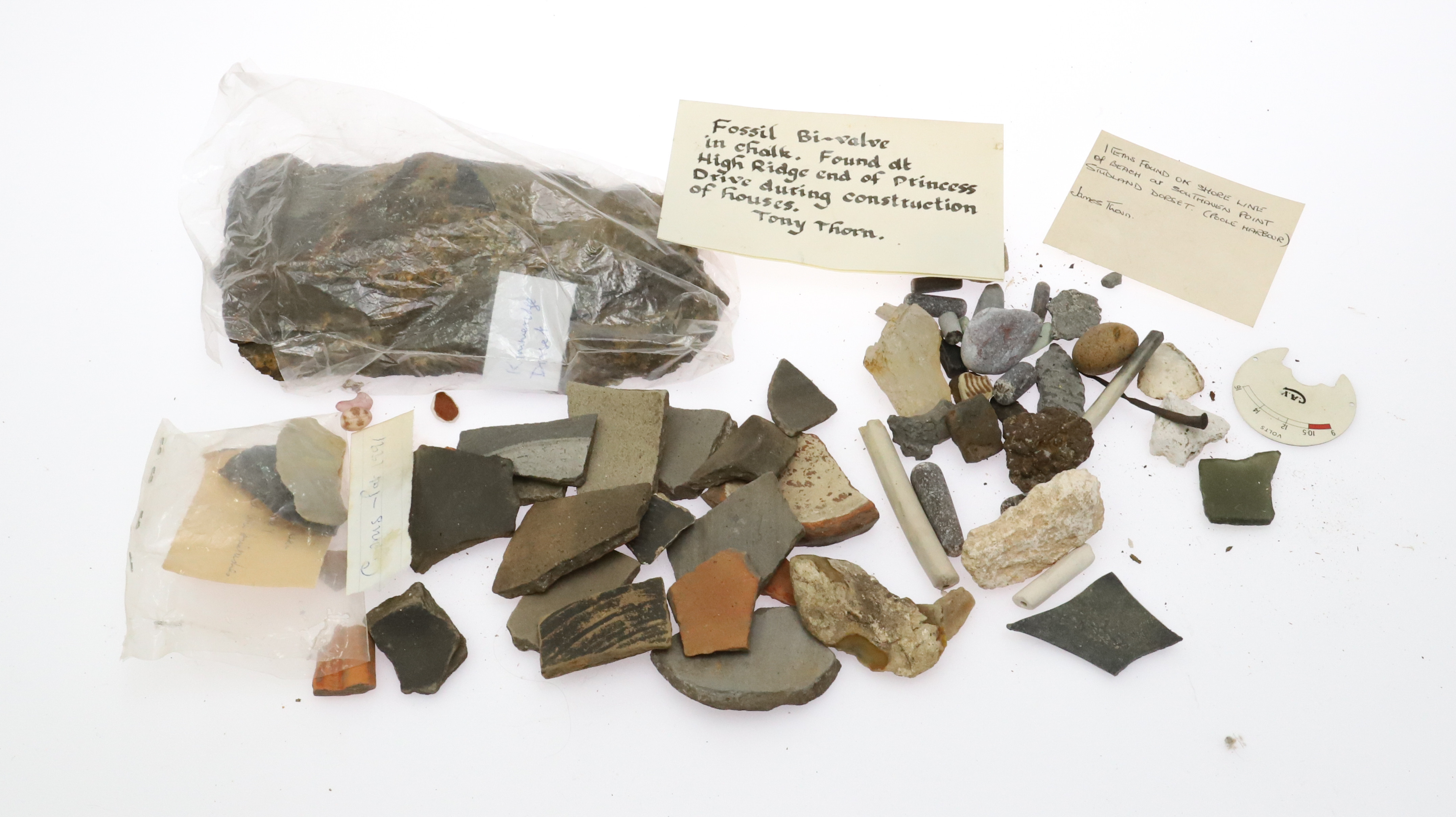 Images for 1607919. A LARGE COLLECTION OF FOSSILS, GEOLOGICAL SPECIMENS ...