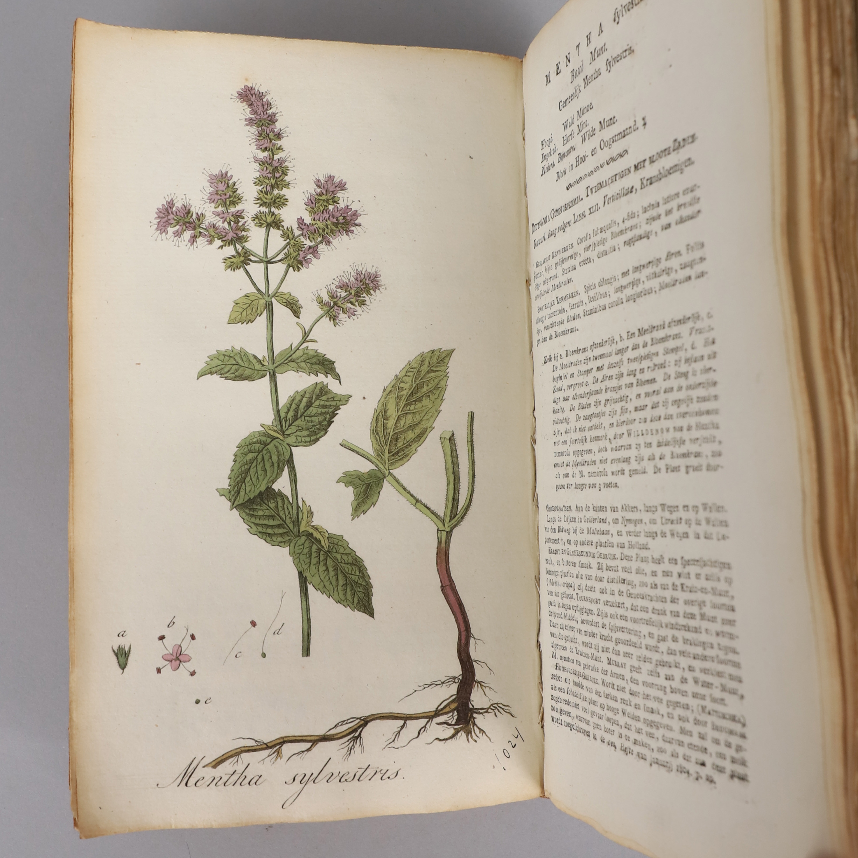 Images for 1739547. BOOK, Flora Batava of Images Beschrijving van ...