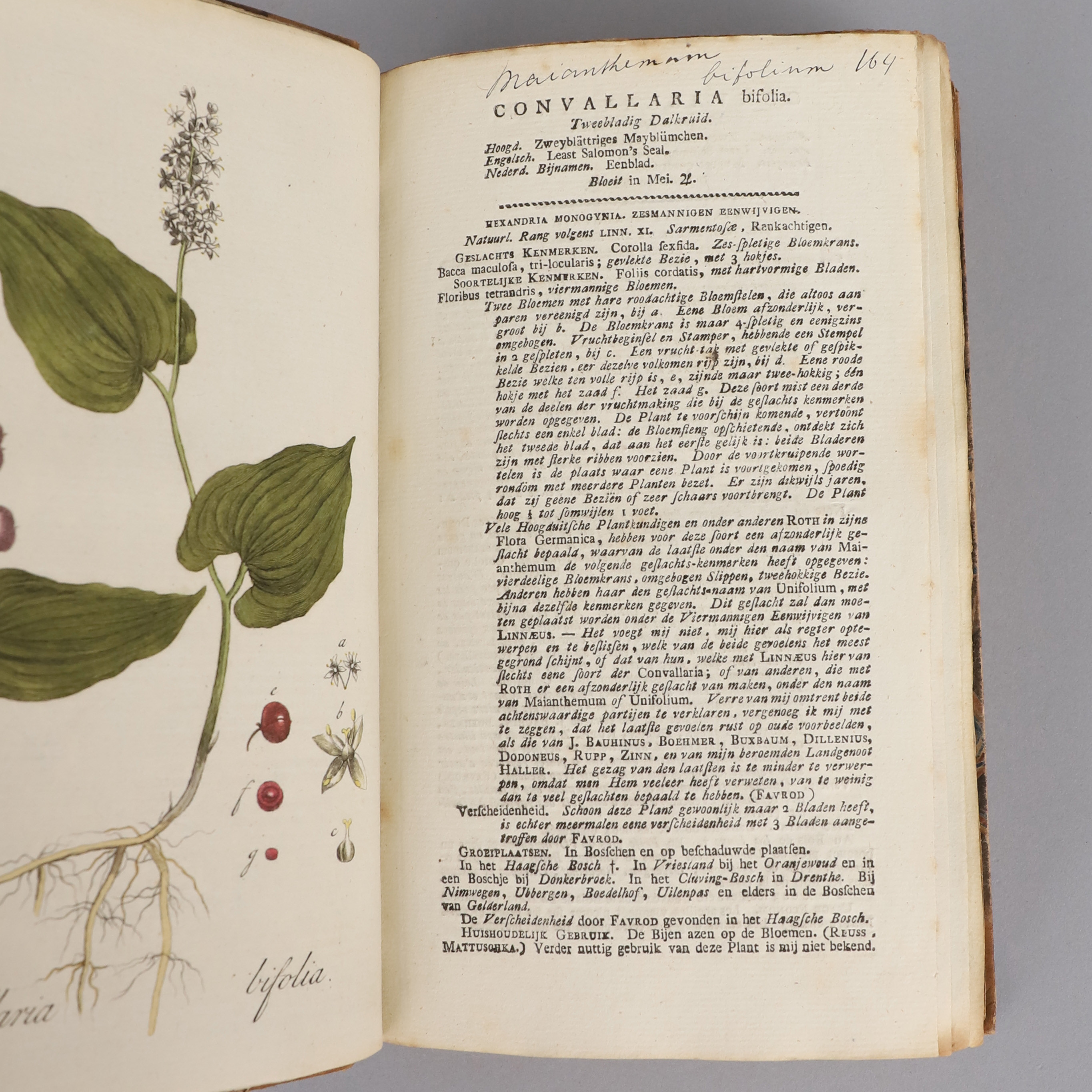 Images for 1739547. BOOK, Flora Batava of Images Beschrijving van ...