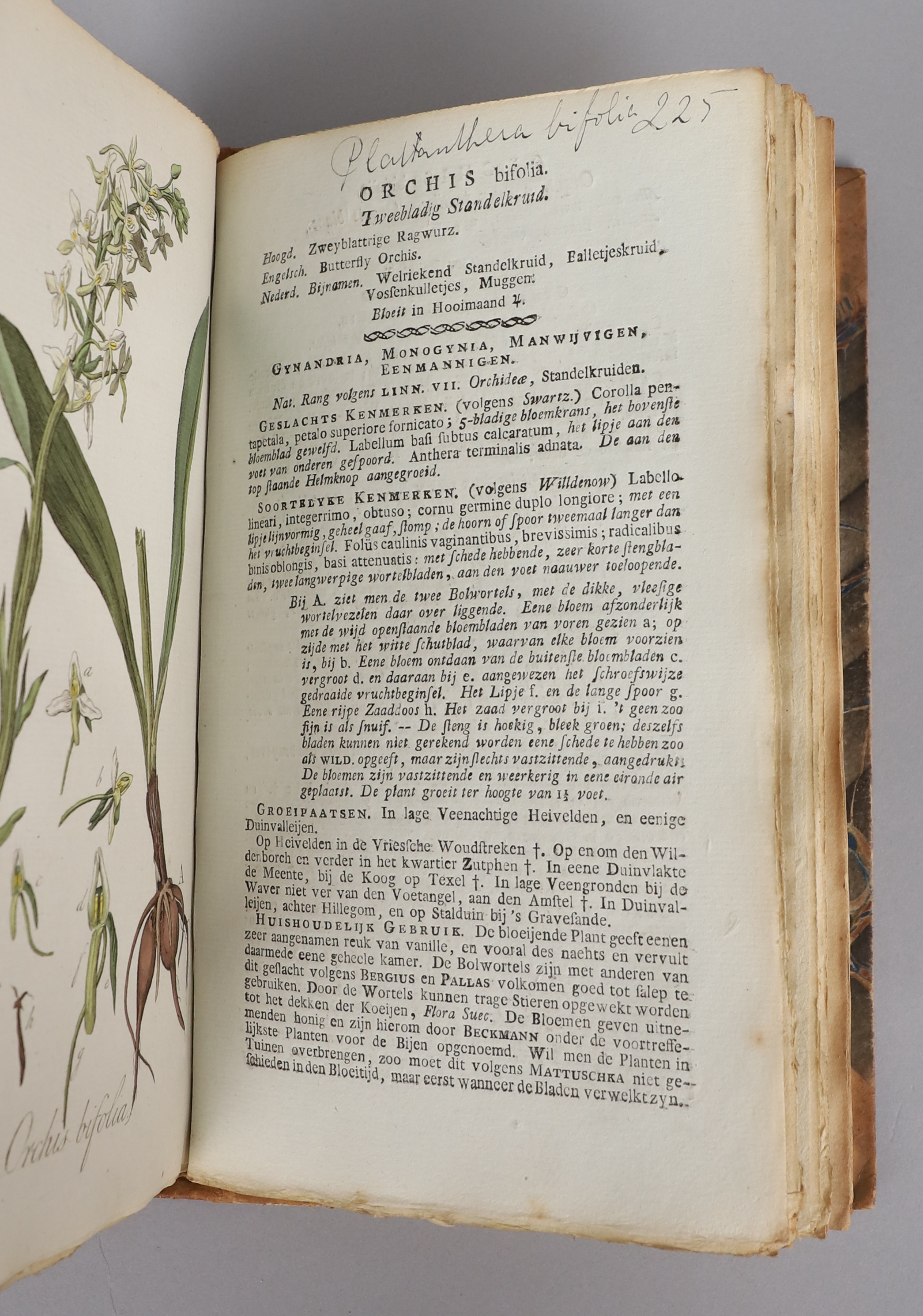Images for 1739547. BOOK, Flora Batava of Images Beschrijving van ...