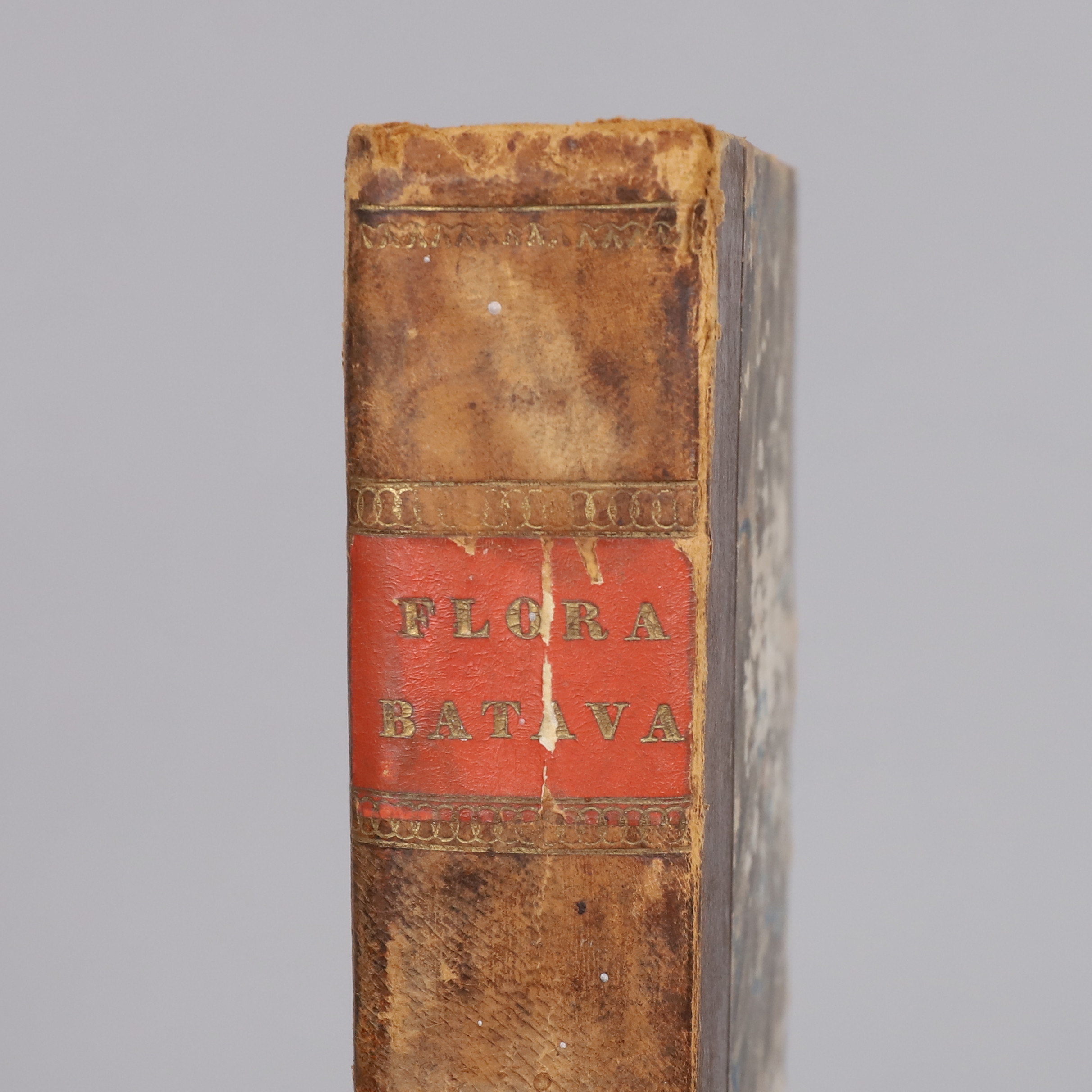 Images for 1739547. BOOK, Flora Batava of Images Beschrijving van ...